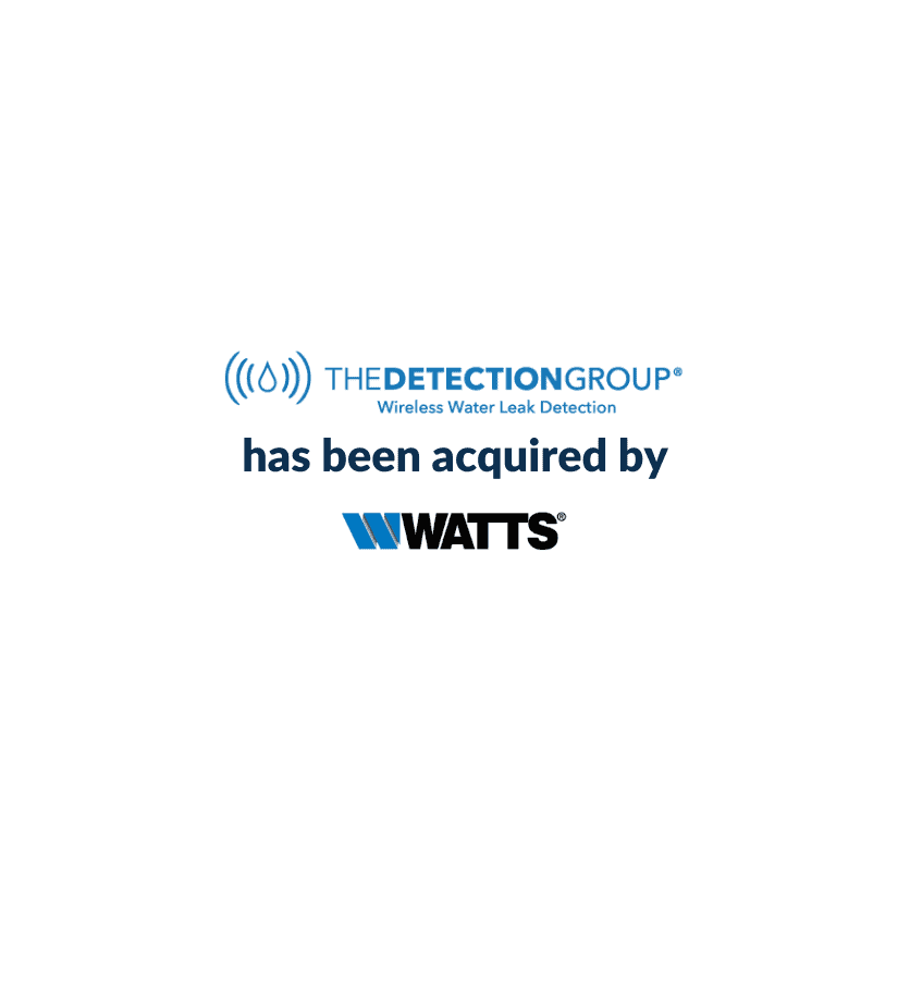 Closed Transaction: The Detection Group, Inc.